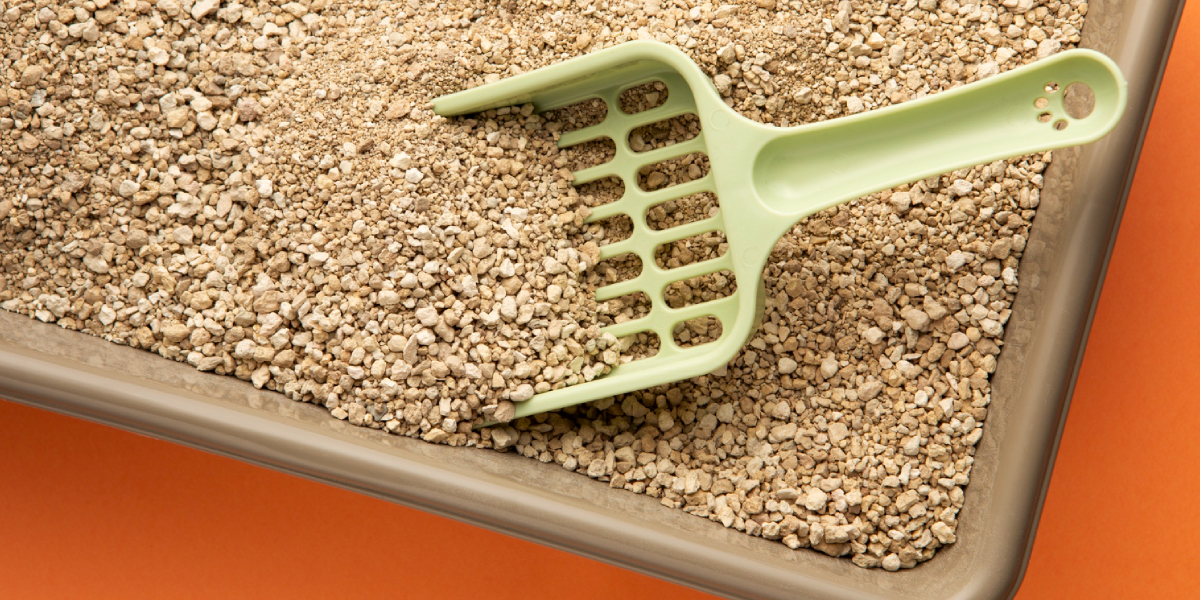 Tipos de arena para gatos: cuál elegir