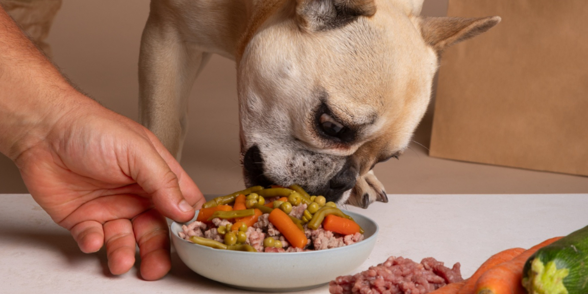Descubre las verduras que pueden comer los perros 🥕🥬🥦